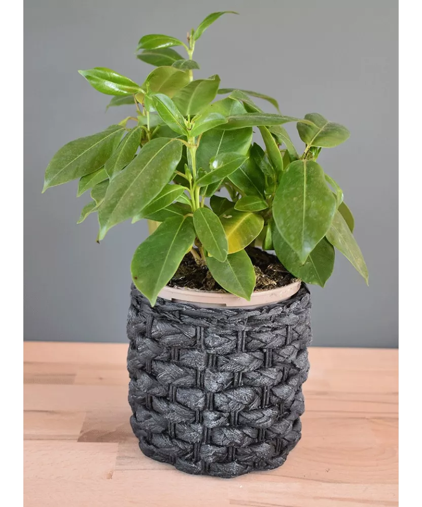 Petit cache-pot motif tressé noir modèle Corte